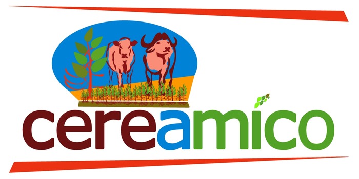 CEREAMICO :: futuridea